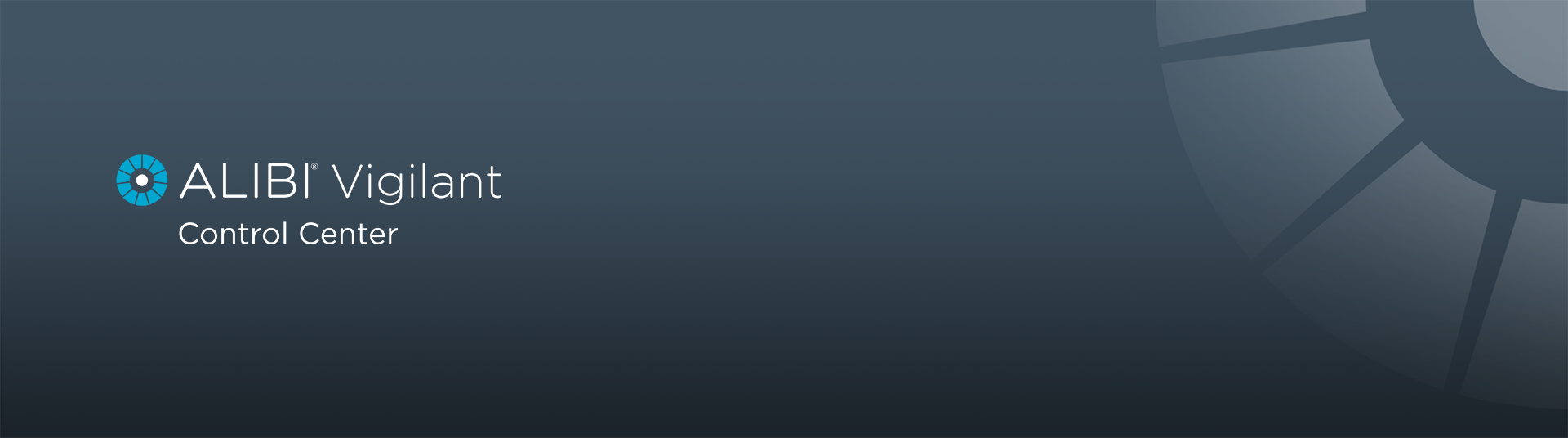 Alibi Security Official Website